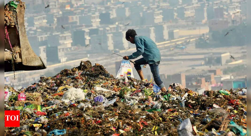 Trashing the environment: How to fix India's bulging waste line | Delhi ...