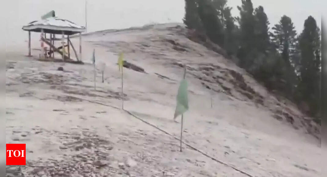 Kashmir receives season's first snowfall | Srinagar News - Times of India