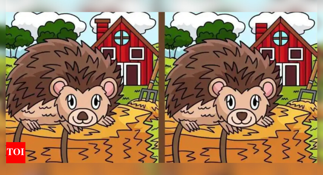 Optical illusion: Only people with excellent eyesight can spot the 3 ...