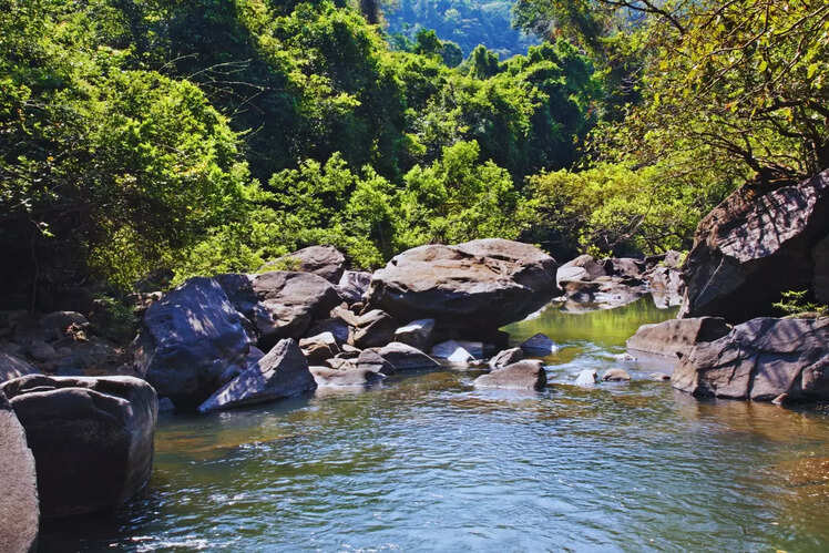 Most photogenic places to visit in the Western Ghats | Times of India ...