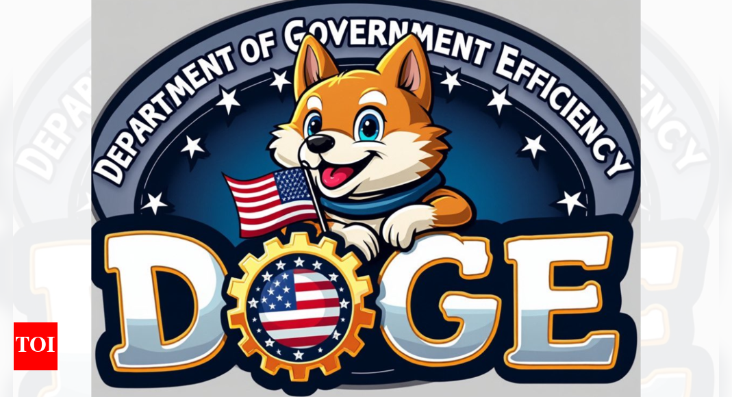DOGE Memes: Elon Musk, Vivek Ramaswamy go full Doge with new Trump role ...