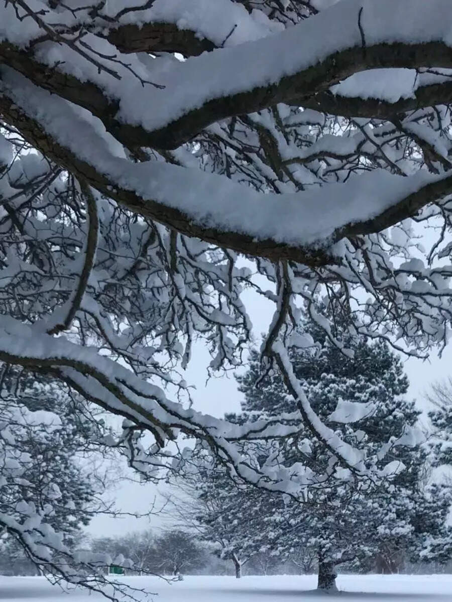 10 things about winters we absolutely love | Times of India