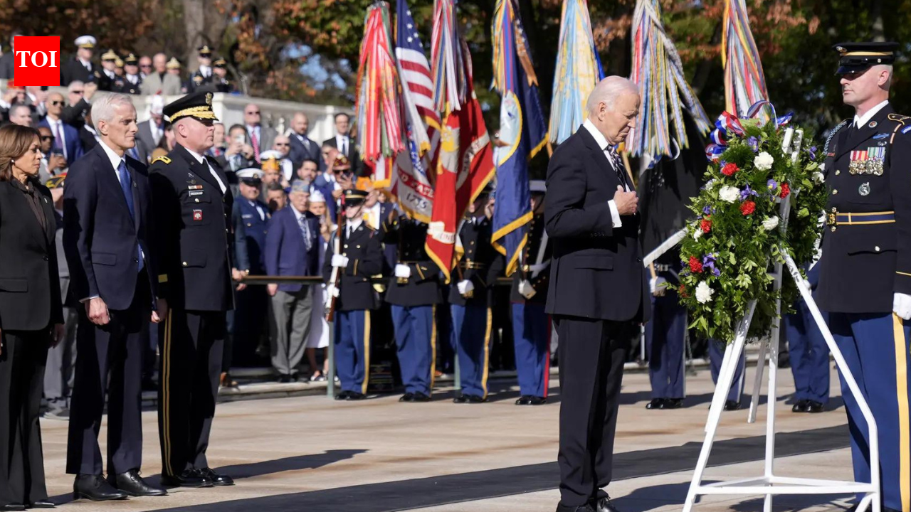 Honoring heroes: Veterans Day marked with parades, ceremonial tributes ...