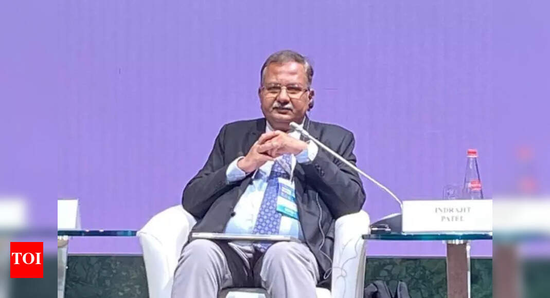 BVM Principal Champions Green Economy at BRICS Congress in Russia ...