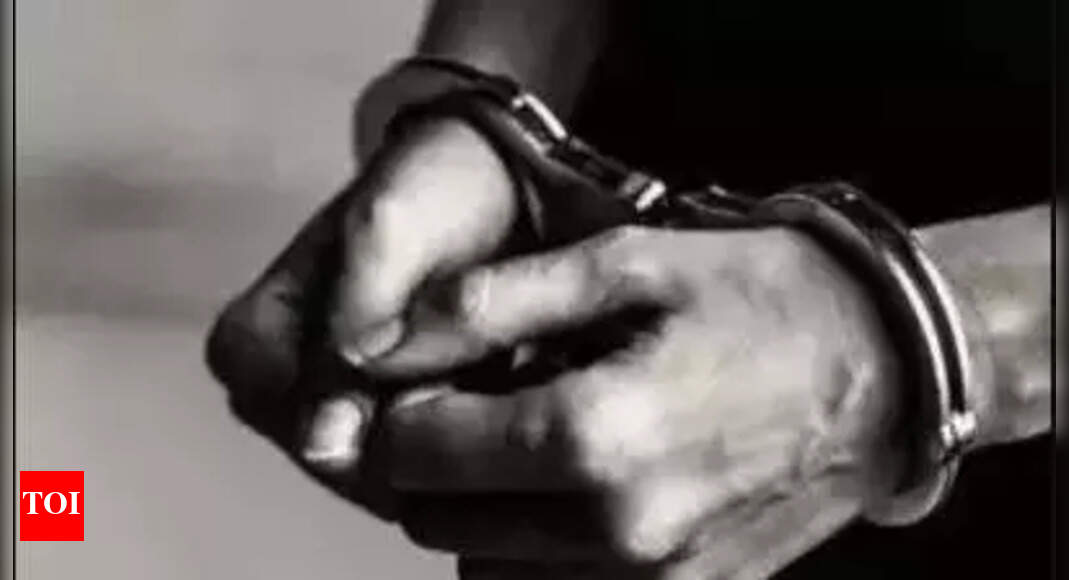 Gangsters Arrested in Chennai: Weapons Seized to Curb Violence ...