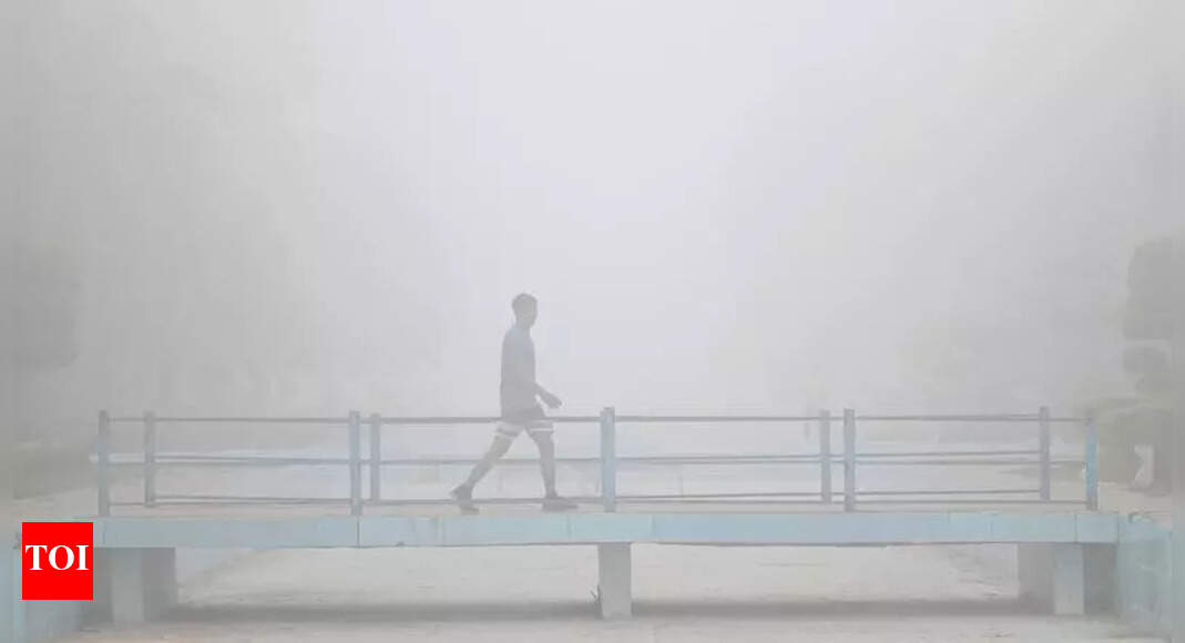 Gurgaon Faces Thick Fog and Hazardous Air Quality: Commuters Struggle ...