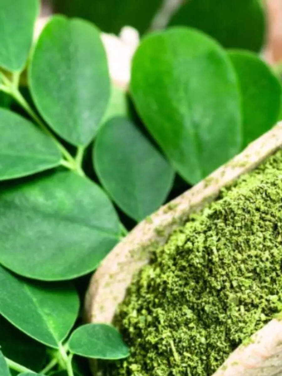 10 benefits of eating fresh Moringa leaves | Times of India