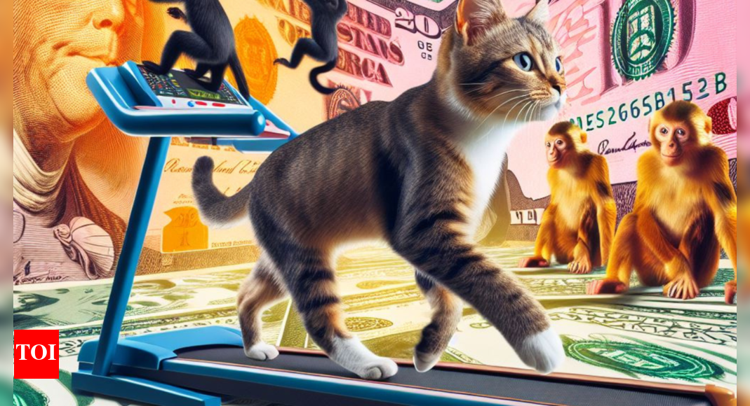 From transgender monkeys to cheques to deceased; Where DOGE team could ...