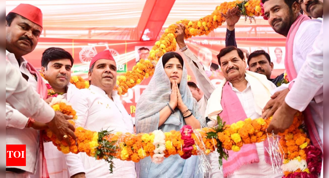Yadav vs Yadav Showdown in SP's Stronghold of Karhal | Lucknow News ...