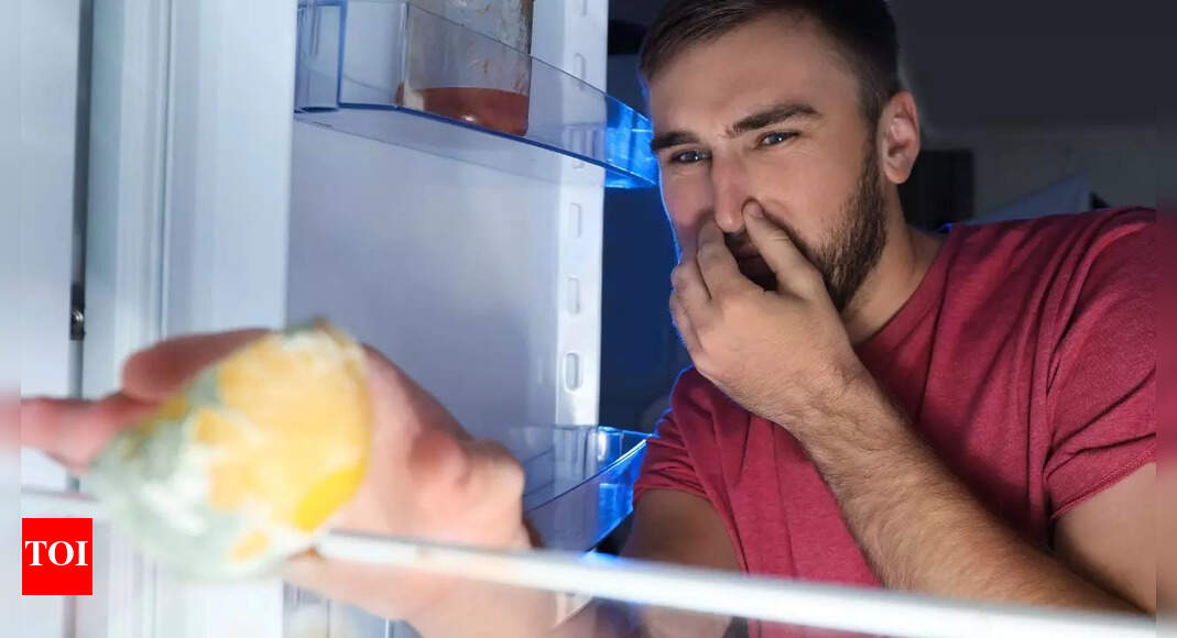 7 Ways to check if the food is fresh or stale - Times of India