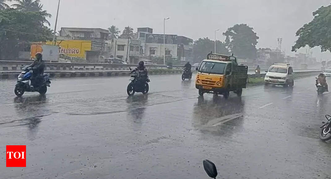 Trichy and Delta Districts Hit by Moderate Rainfall; Agriculture ...