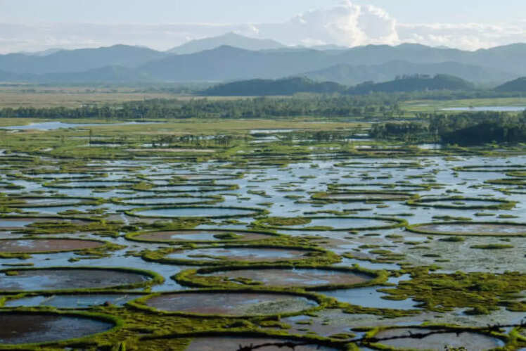 What’s inside the world’s ONLY floating national park? | Times of India ...