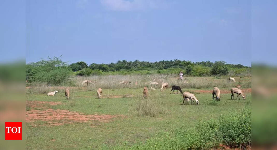 SIPCOT Approves ₹16-Crore Melur Industrial Park Project to Boost Tamil ...