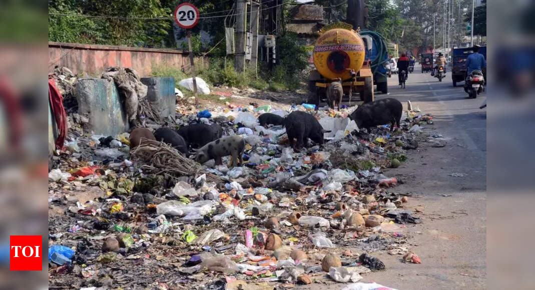 Ranchi Faces Garbage Crisis: Residents Demand Urgent Solutions | Ranchi ...
