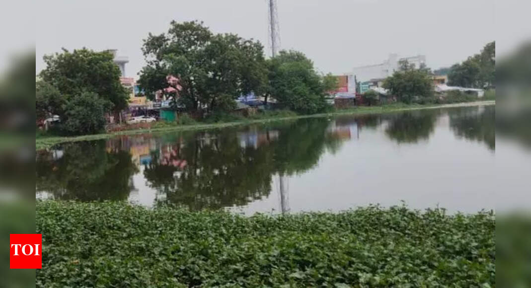 Thuraiyur Small Tank Redevelopment: A Vision for Eco-Friendly ...