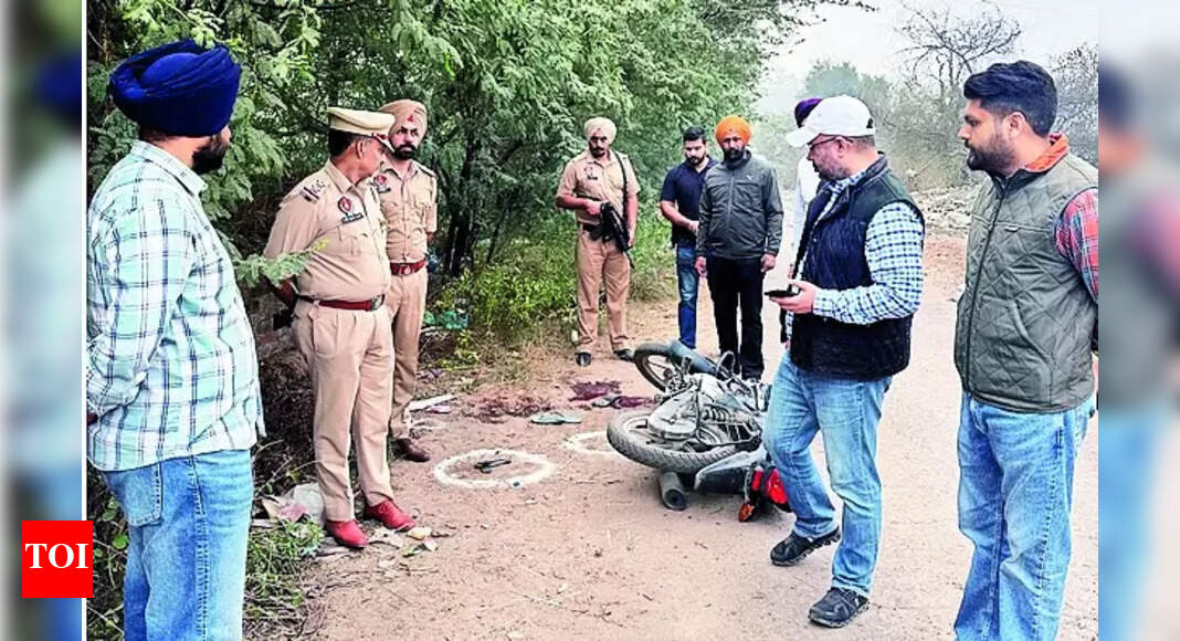Highway Robbers' Gang Kingpin Arrested After Police Shootout in Mohali ...