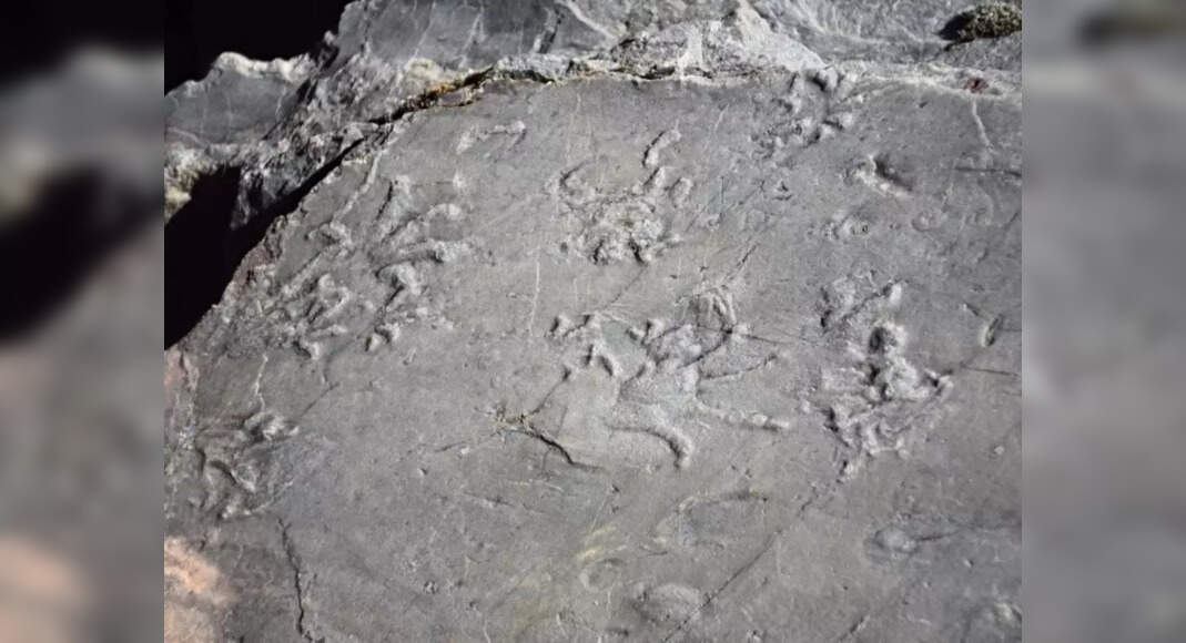 Melting snow Italian Alps fossils: Melting snow in the Italian Alps ...