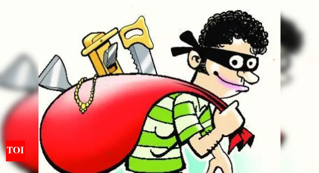 Kerala Faces Surge in Outstation Burglars: Kuruva Gang's Impact and ...