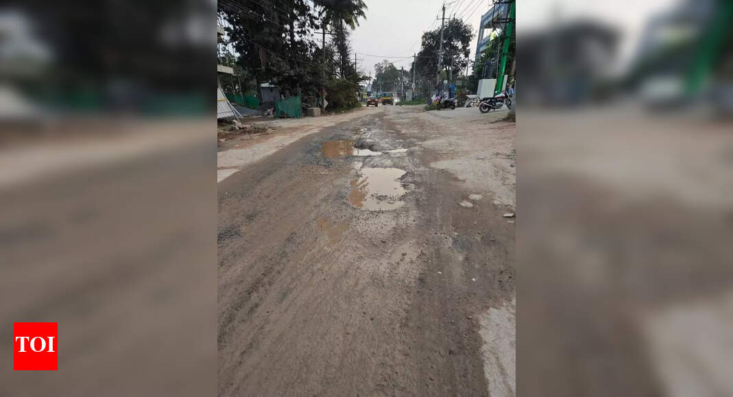 Bengaluru Residents Appeal to MP for Urgent Infrastructure Upgrades ...