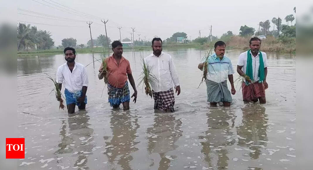 Thanjavur Schools Closed Amid Heavy Rainfall and Crop Damage | Trichy ...