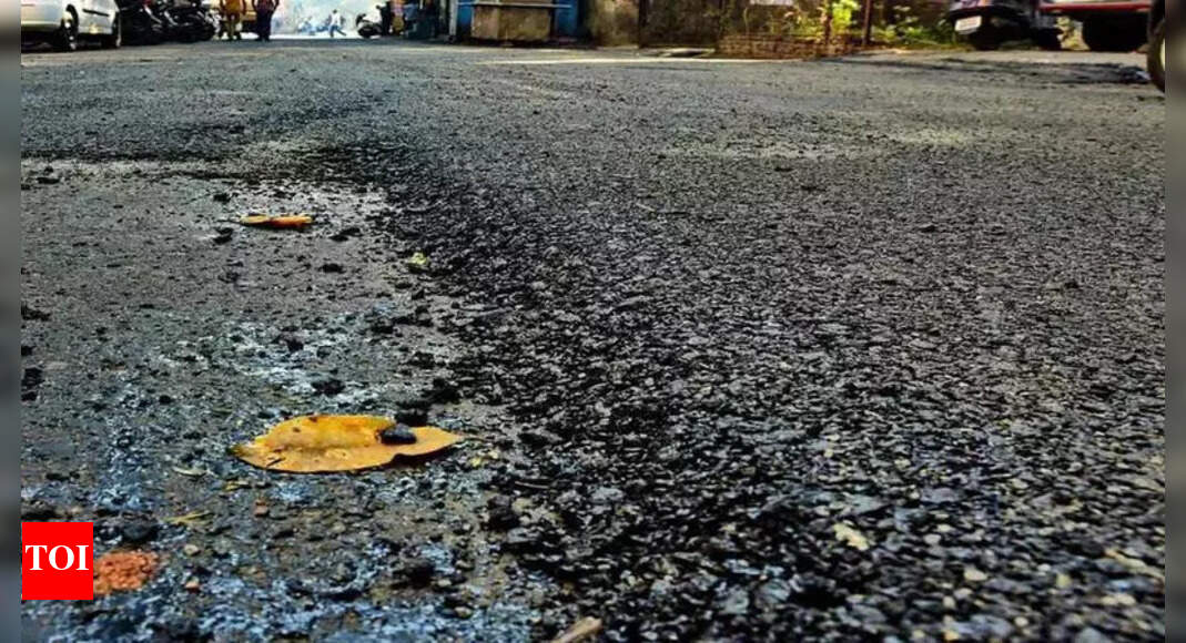 40 Trees Translocated for Infrastructure Development in Haldwani ...