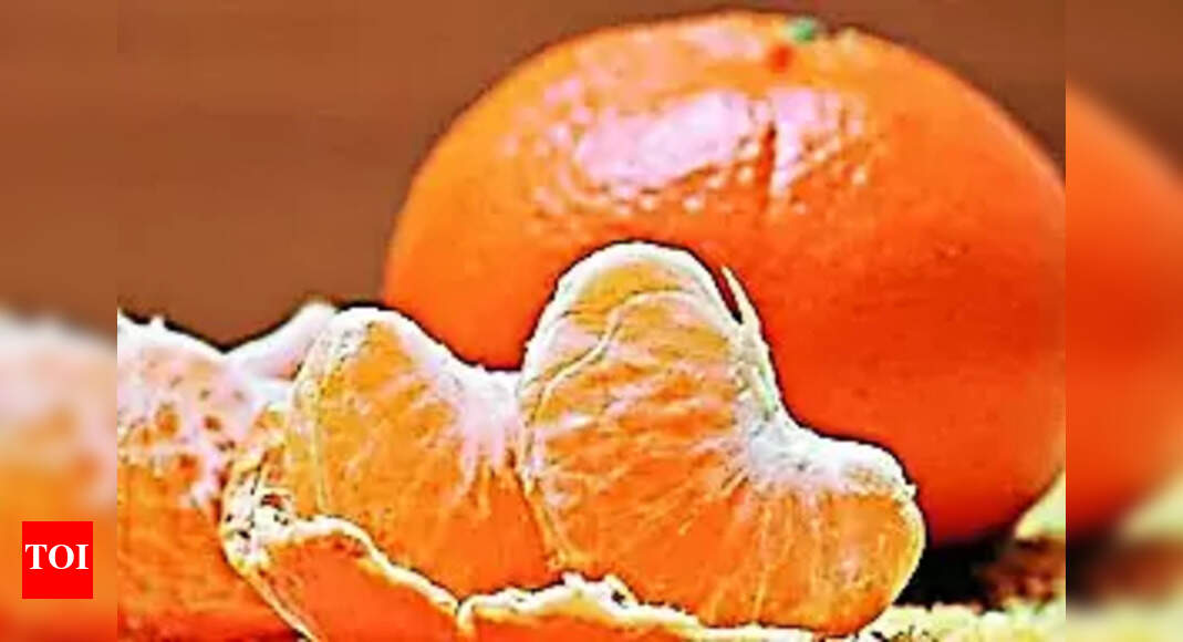 Meghalaya's First GI-tagged Khasi Mandarin Export to Dubai Marks ...
