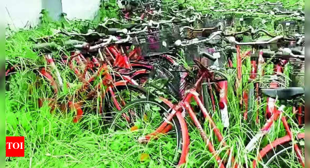 Bicycle Thief Caught in Dwarka: How a Vigilant Police Patrol Nabbed the ...