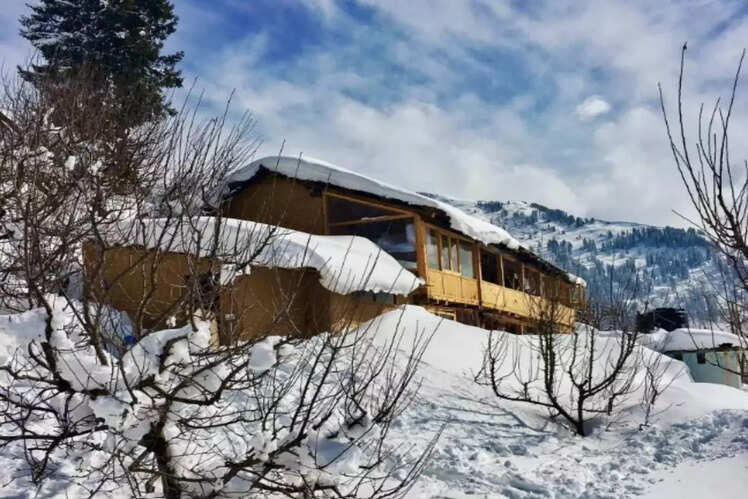 Boathouses and treehouses; 6 most unique stays in India | Times of ...