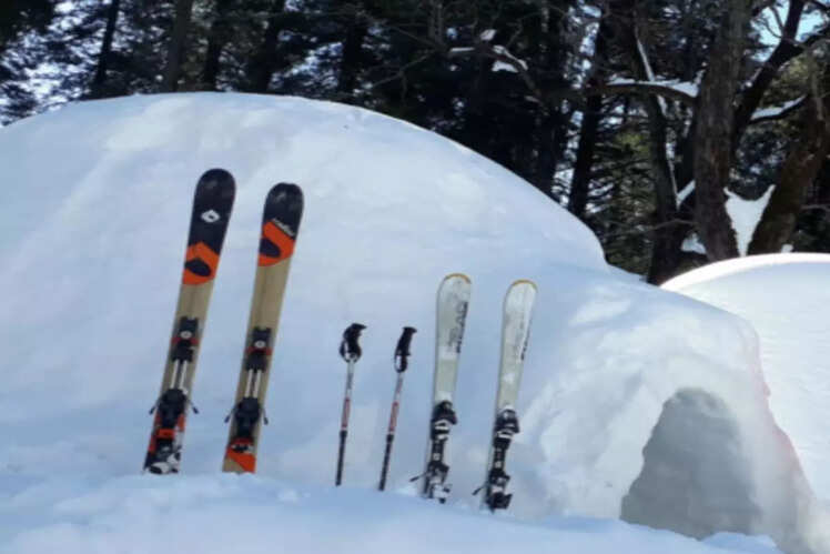 Boathouses and treehouses; 6 most unique stays in India | Times of ...