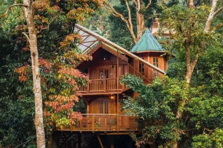 Boathouses and treehouses; 6 most unique stays in India | Times of ...