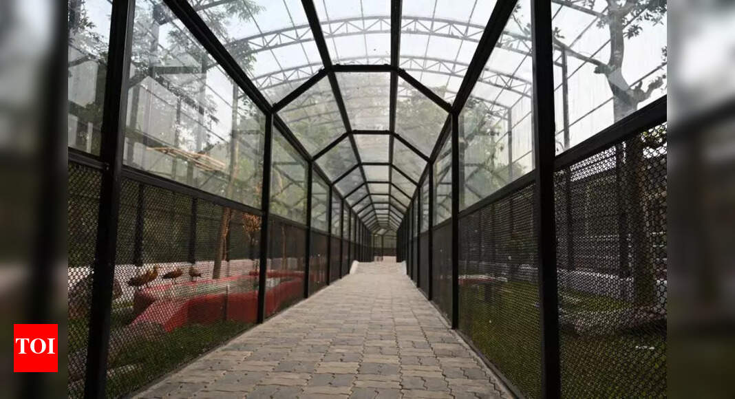 Experience the First Ever 60m Bird Tunnel at Alipore Zoo | Kolkata News ...