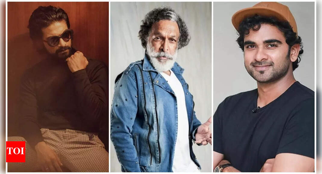 Arjun Das, Ashok Selvan & Nassar to lend voice for Mufasa: The Lion King | Tamil Movie News ...