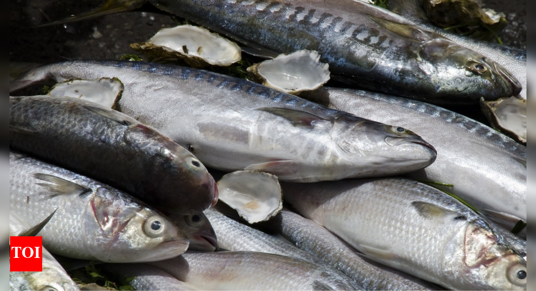 Varanasi Marks World Fisheries Day with Major Carp Fish Stocking to ...