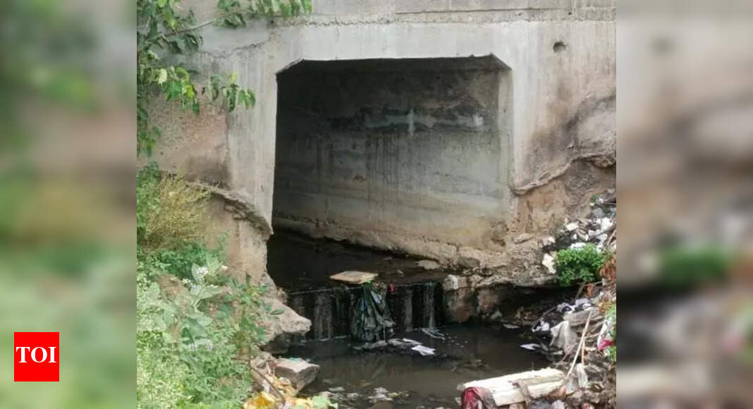 Urgent Call to Stop Sewage Discharge into Vaigai River Amid Court ...
