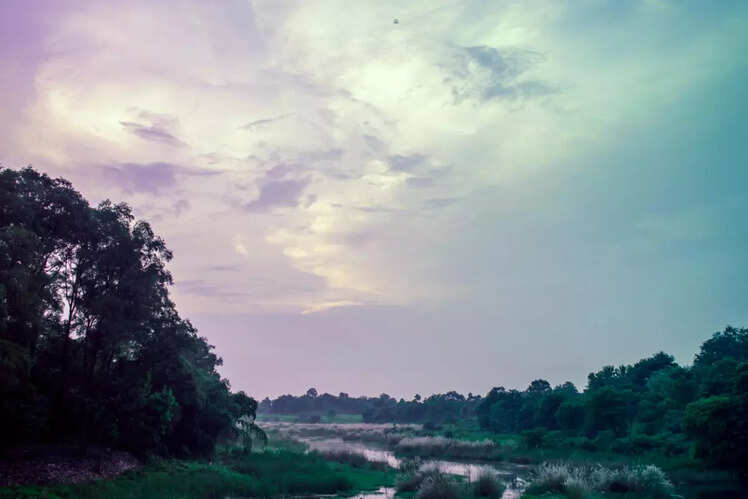 Top places to visit in Alibaug for a memorable weekend getaway | Times ...