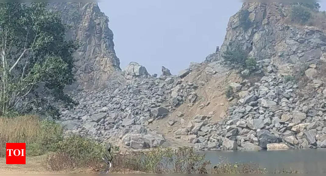 NGT Summons Odisha Law Secretary Over Environmental Clearance for Stone Quarry | Bhubaneswar ...