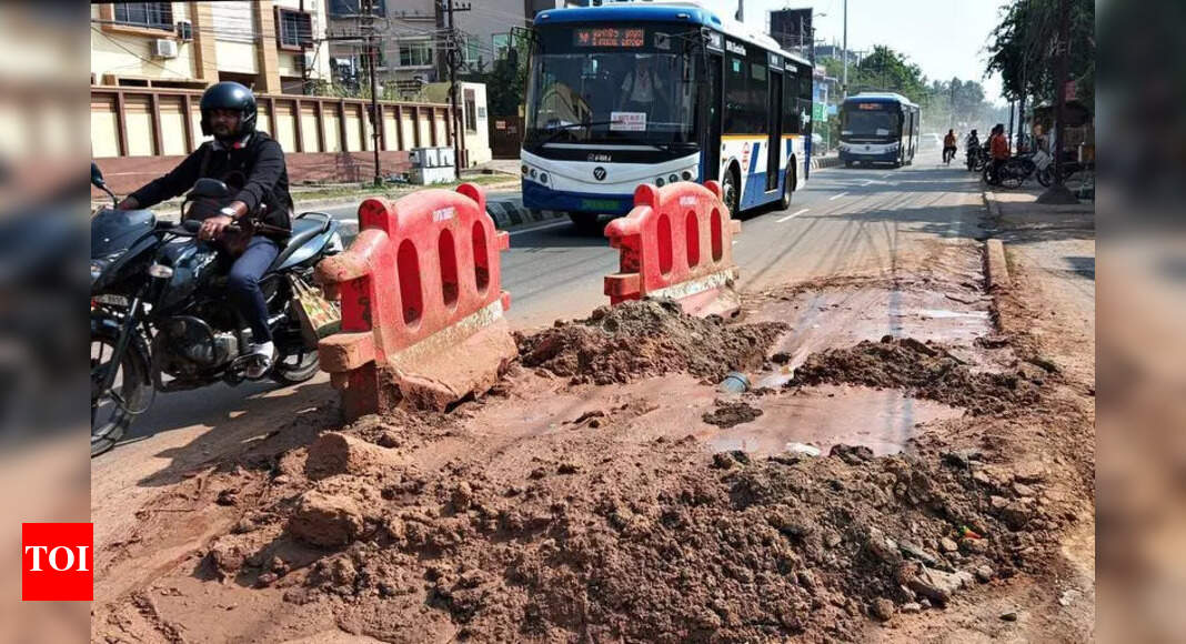 Residents of Bhubaneswar Struggle with Poor Infrastructure: Roads ...