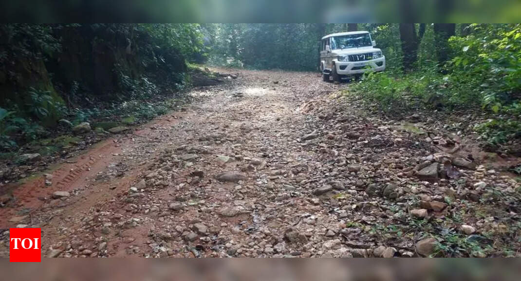 Struggles of Hebri Villages Post-Naxalism: Poor Infrastructure and ...