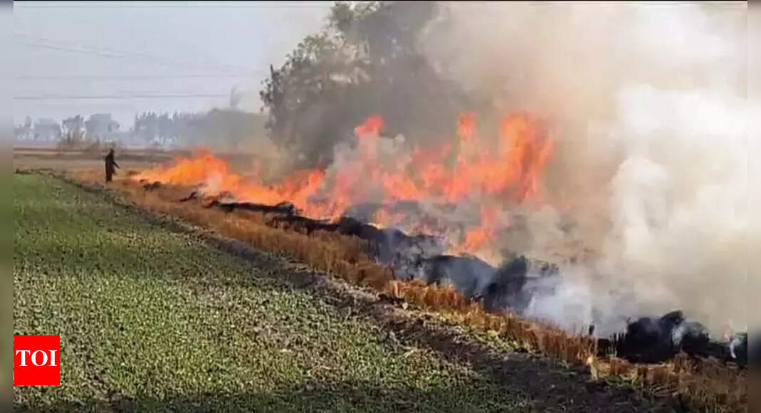 Haryana and Punjab Experience Significant Drop in Farm Fires This Year ...