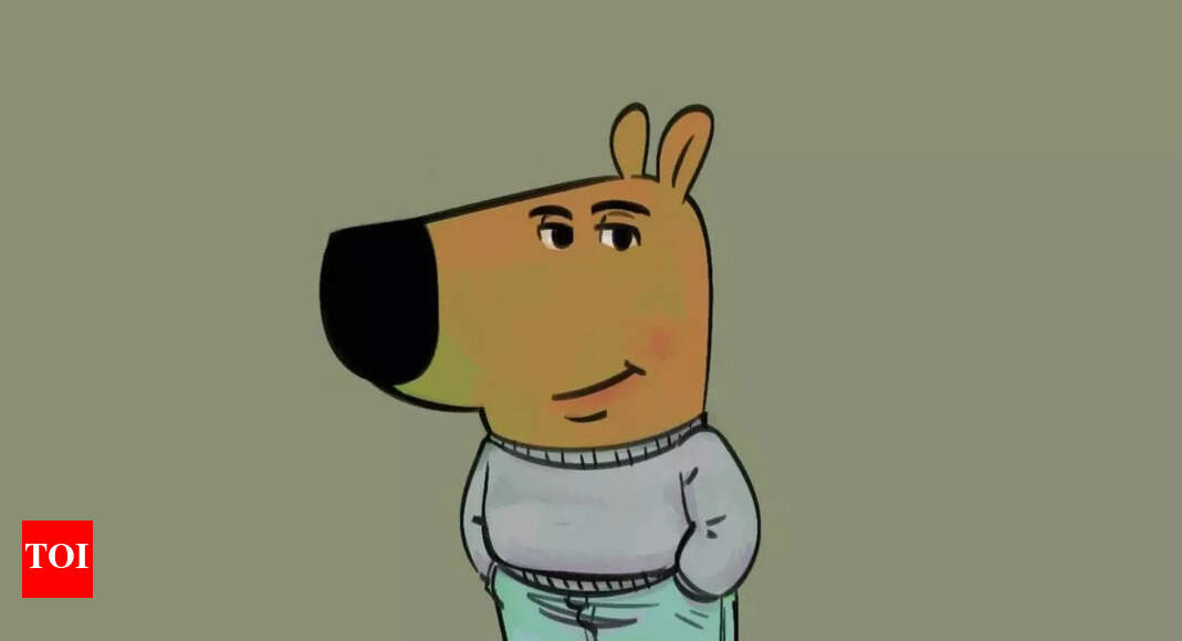 What is Chill Guy meme that is behind the $405 million Crypto token - Times of India