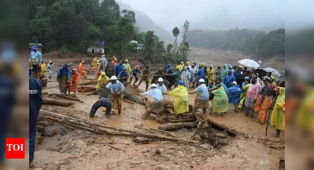 Over 400 Families Affected by Wayanad Landslides Await Rehabilitation ...