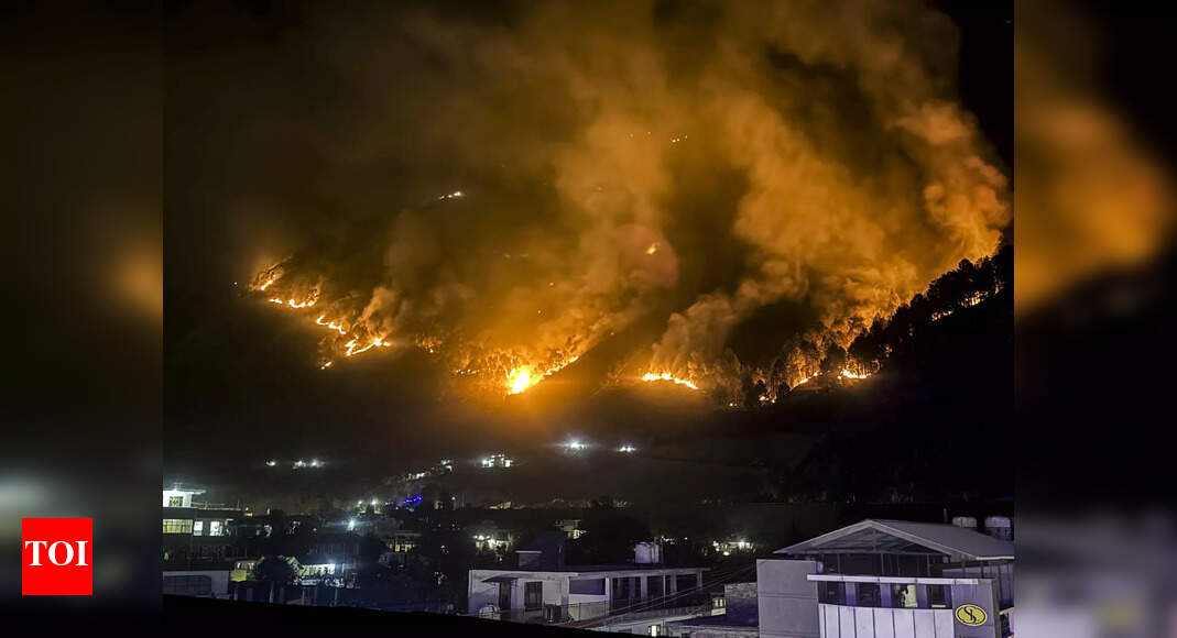 Kullu Fire: Fire breaks out in forest of Bada Bhuin Panchayat of Kullu ...