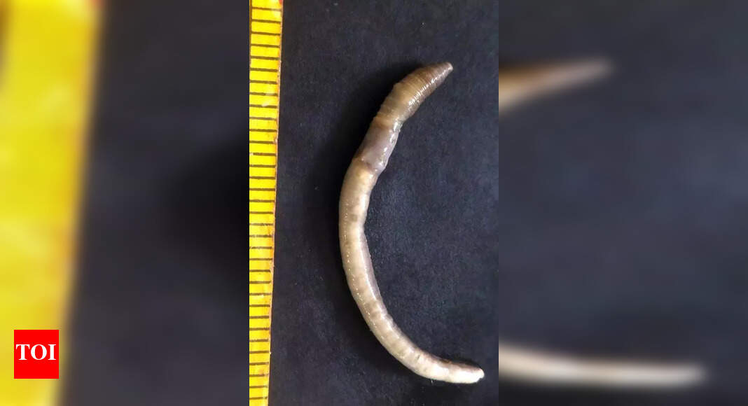 Study Uncovers Diverse Earthworm Species in Bengal's Wildlife ...