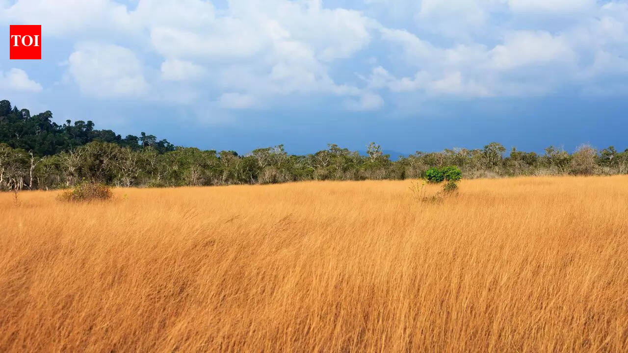 8 largest grasslands in the world