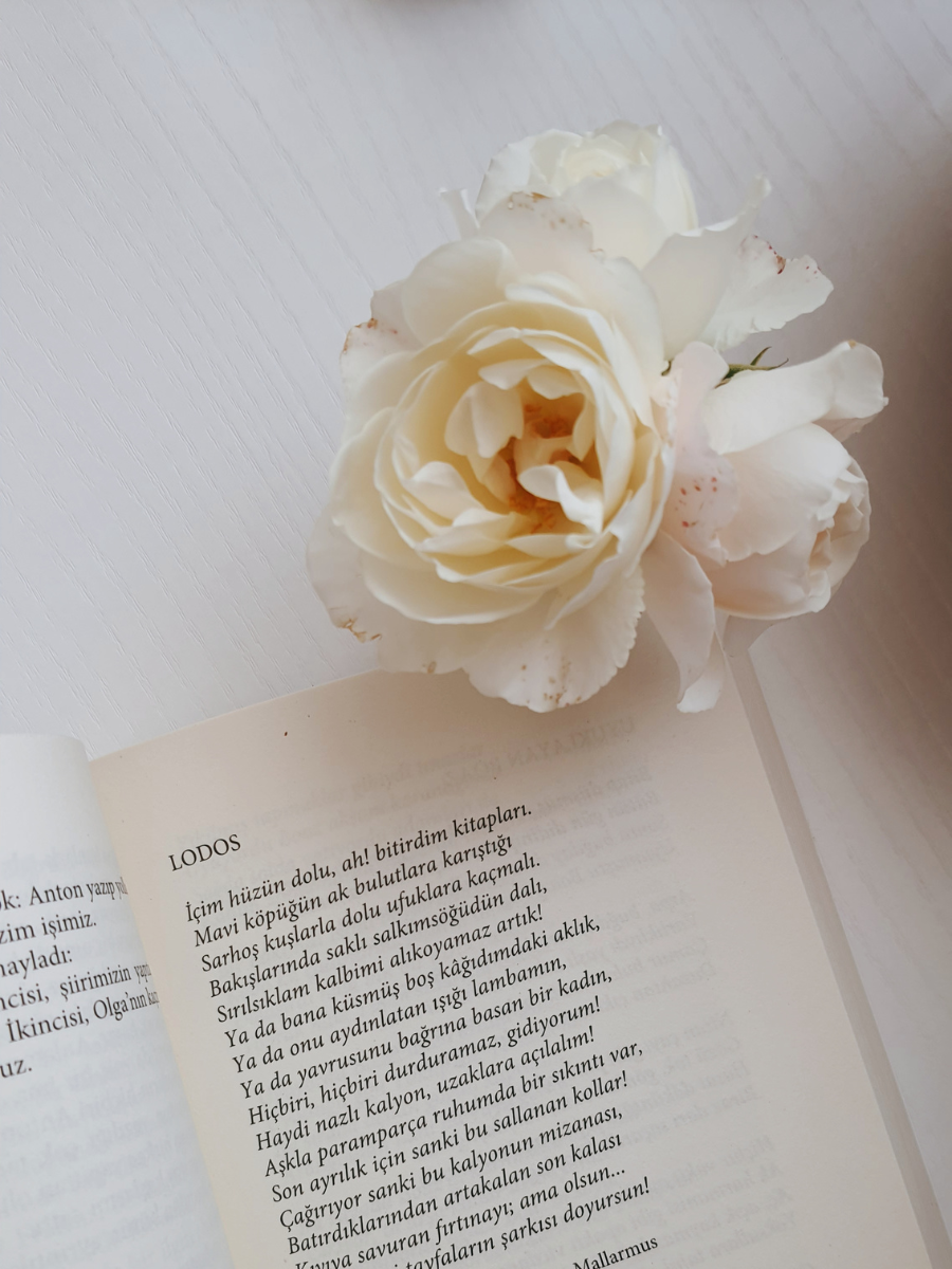 7 inspiring poems to drive students toward academic achievement | Times ...