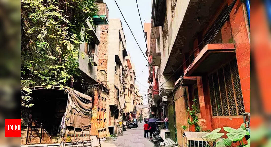 Pakistani Soil to Nourish Tree in India: A Symbol of Unity | Ludhiana ...