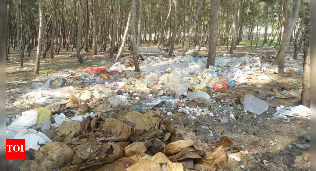 Odisha's Action Plan to Eliminate Single-Use Plastic: A Comprehensive ...