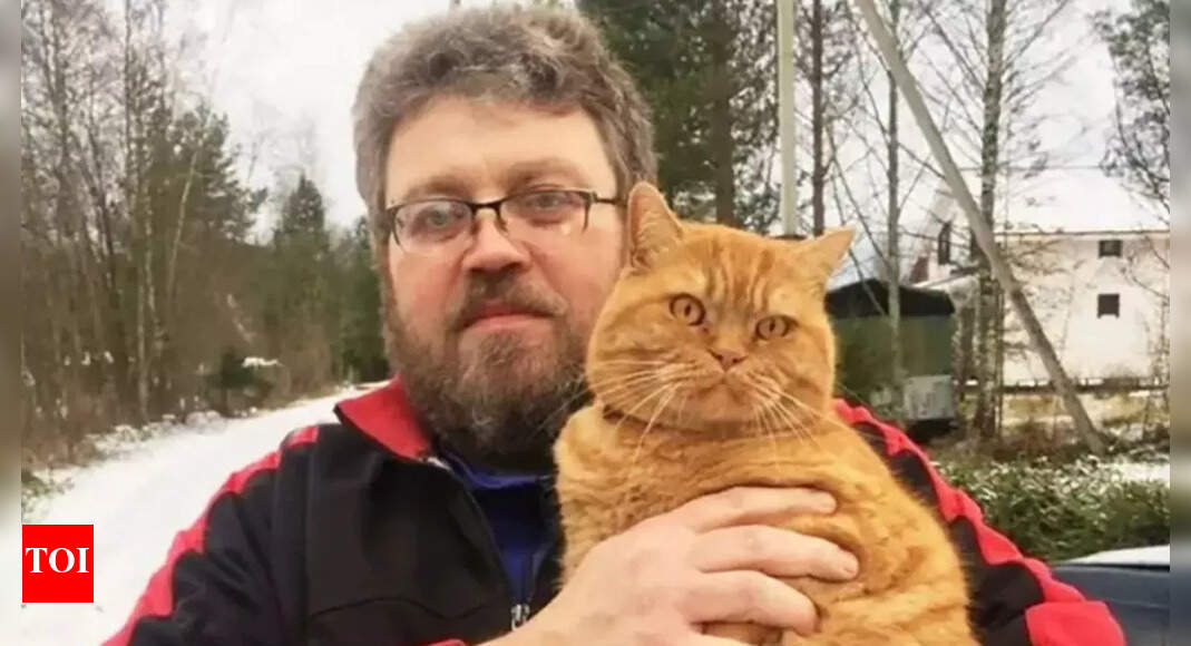 Pet owner scratched to death by his cat; Here’s what really happened ...