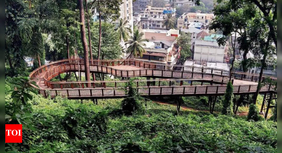 Mumbai's first elevated nature trail walkway at Malabar Hill to open in ...