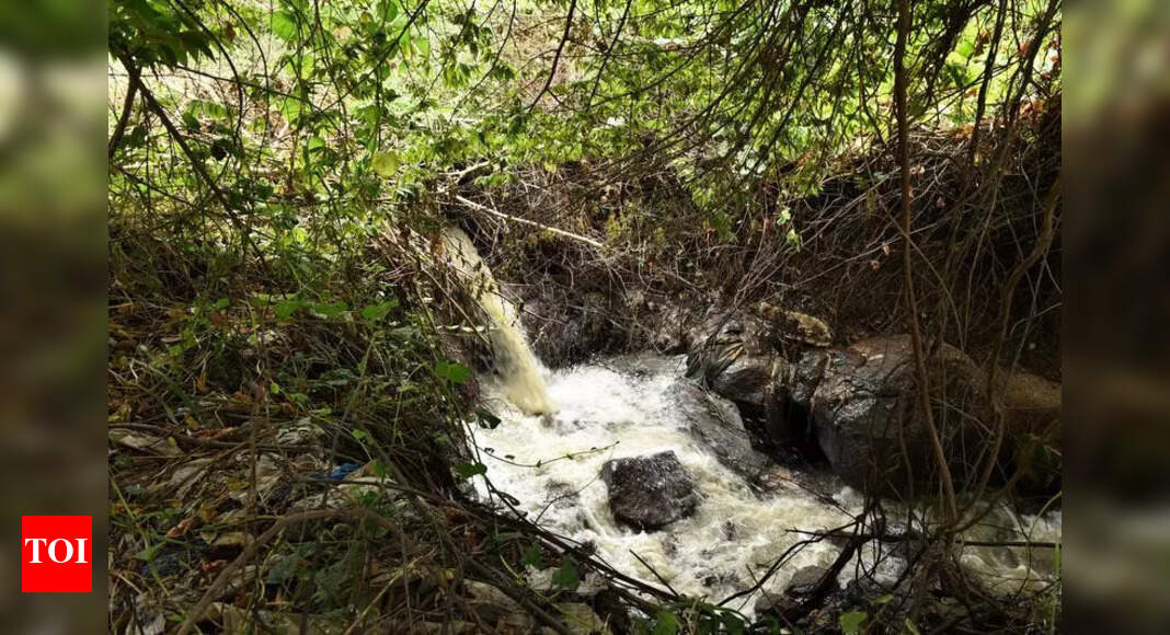 Musi River Faces Sewage Crisis: Hyderabad's Struggle for Clean Water ...